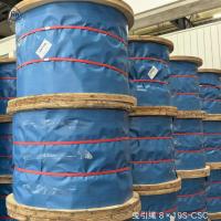 China 8×19S+8×7+PP Construction Elevator Steel Rope with 1570N/mm² Tensile Strength and 14 mm Nominal Diameter for sale