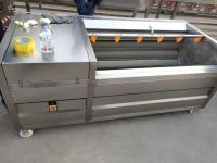 China Industrial Vegetable Fruit Bubble Cleaning Machine 150-1800kg/h Capacity Stainless Steel for sale