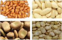 China Customized Durable Peanut Peeling Equipment Wet Peanut Peeling Machine for sale
