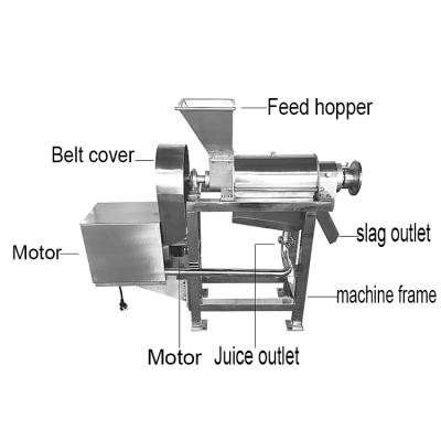 China Vegetable and fruit juicer Carrot juicer for sale