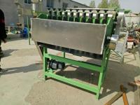 China Full Automatic Cashew Nut Processing Plant 170 kg/h Shelling Machine for Industrial Use for sale