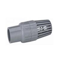 China Processing Service Moulding 1 Inch PVC Foot Valve Control Valves Type White Grey for sale