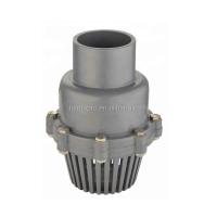 China Processing Service Moulding 1 Inch PVC Foot Valve Control Valves Type White Grey for sale