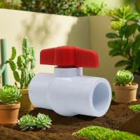 China Socket Connection 1-Inch White PVC Ball Valve for Plumbing Systems from Plastic Valve for sale
