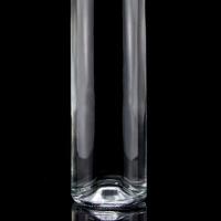 China Exquisite Design Vodka Liquor Glass Bottle 750ml Clear Glass Bottle with Screw Cap for sale
