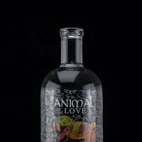 China Flint Glass 2022 Design Clear Decal Glass Bottle for Gin Whisky Rum Tequila Brandy for sale