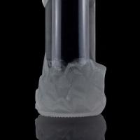 China 500ml 700ml 750ml Transparent Flint Glass Bottle for Champagne Gin Rum Unique Design for sale