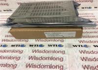 China 1C31161G02 Westinghouse Ovation Digital I O Module Analog Input PLC for sale
