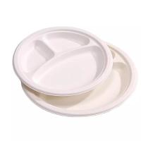 China Biodegradable Disposable Bagasse Three Compartment Paper Plates for sale
