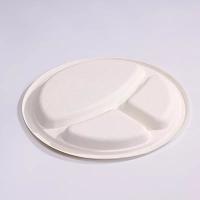 China Biodegradable Disposable Bagasse Three Compartment Paper Plates for sale
