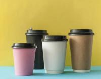 China Custom Biodegradable 6oz 8oz 9oz 12oz 16oz Kraft Paper Cups Disposable Double Wall Coffee Paper Cup for sale