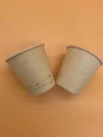 China 8oz Disposable single wall PLA Coating Hot Coffee/ hot dringking Paper Cups for sale