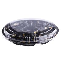 China Clear Plastic Sushi Box Black Pattern Golden Maple Leaf 5 Compartments With Lid for sale