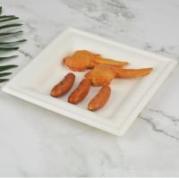 China Made of Natural Sugarcane Fibers Eco Friendly Fully Biodegradable Disposable White Bagasse Plate for sale