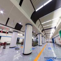 China Extruded Acoustic Hanging Customized Ceiling Decorative Profile Sound Absorbing Baffles for sale