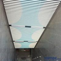 China Two Color PVDF Coating Aluminium Profile Suspended Metal False Linear Ceiling Strip For Hallway for sale