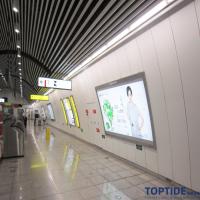 China Colorful Suspended 8mm Decorative Wall Cladding , Aluminium Decorative Screens for sale