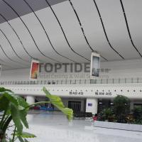 China Custom Made S Shape Aluminum Strip Perforated Metal Suspended Ceiling Noise Reduction Panels for sale
