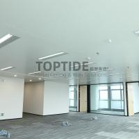 China Customized Decorative Design White Decorative Ceiling Tiles For Light for sale