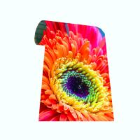 China P2.6 Motorized Roll-Up LED Screen with 1000kg Load Capacity and 3840Hz Refresh Rate for sale