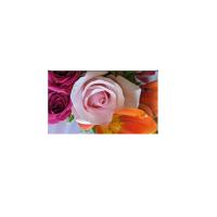 China P1.5625 Flip Chip COB Fine Pixel Pitch LED Display 600x337.5mm 384x216 3840Hz Front Service for sale