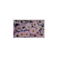 China P1.5 COB LED Video Wall for Premium Indoor Display Solutions for sale