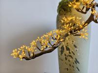 China Long Lasting and Energy Home Decoration Lights The Perfect Addition to Your Space for sale
