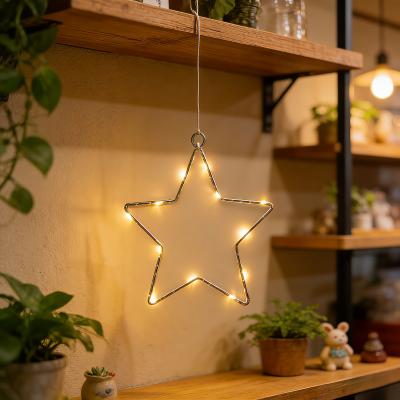 China LED Lightsource Iron Art Decorative Lights Including Battery Case Made from PP Plastic and Micro Wire Containing 55 Percent Copper 45 Percent Aluminum Perfect for Indoor Outdoor for sale