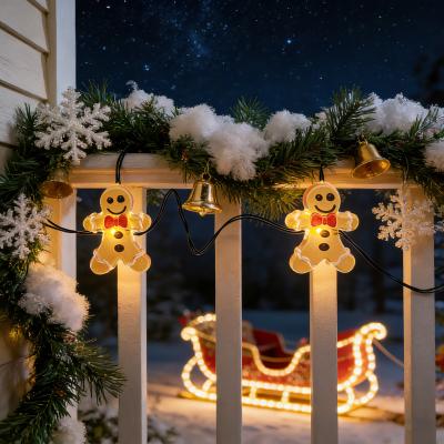 China Warm White LED String Lights with IP65 Waterproof Rating and Low Power Consumption for Indoor & Outdoor Use for sale