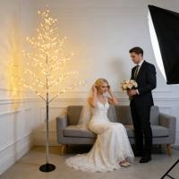 China 1.2m Tree-shaped LED Decorative Lights, 432 Warm White LEDs & 230 Clear Decorative Beads, 12V 9W, Eco-friendly Energy-saving, Suitable for Luxury Hotel/Home/Commercial Use, MOQ 500 Pcs for sale