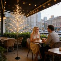 China 1.2m Tree-shaped LED Decorative Lights, 432 Warm White LEDs & 230 Clear Decorative Beads, 12V 9W, Eco-friendly Energy-saving, Suitable for Luxury Hotel/Home/Commercial Use, MOQ 500 Pcs for sale