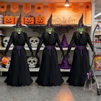 China Halloween Witch Ground Light | 1.3m(H) | 45cm Plug Rod | Glowing Eyes & Sound | Eco-friendly & Waterproof | Home & Commercial | MOQ 500pcs for sale