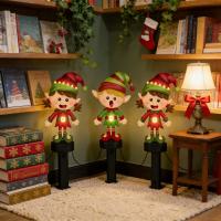 China 40cm Height IP65 Waterproof Energy-Saving LED Christmas Ground Stake Lights for Festive Outdoor and Indoor Decor for sale