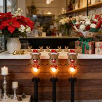 China 45cm Height Christmas Ground Stake Lights with IP65 Waterproof and Energy-Saving LED for Outdoor Holiday Decor for sale