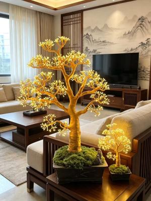 China Illuminated 