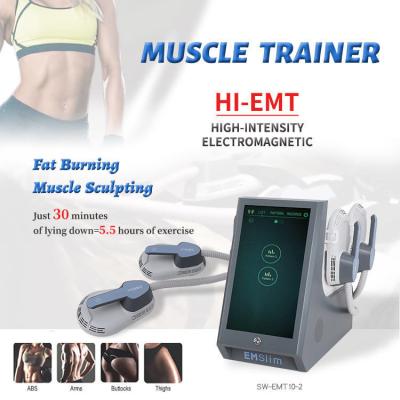 China EMS Facial Machine with 2 Years Warranty Magnetic Vibration Intensity 1-10Tesla Video Technical Support for sale