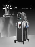 China Professional EMS Machine 1-100Hz Output Frequency AC110V-220V Input Voltage 2 Years Warranty for sale