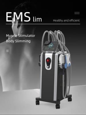 China Professional EMS Machine 1-100Hz Output Frequency AC110V-220V Input Voltage 2 Years Warranty for sale