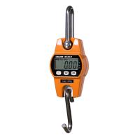China Portable Hanging Scale AA*3 Battery Power Supply OCS-L 100kg 200kg 300kg for sale