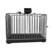 China 220V AC 9V DC Livestock Weighing Scales 500KG Capacity Electronic Easy Operation for sale