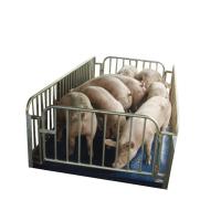 China Pig Goat Cow Cattle Weighing Scales , Sheep Weighing Scales Electronic Digital for sale