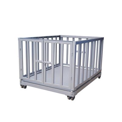 China 1000lb Livestock Weighing Scales for sale