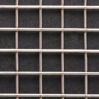 China T-304 Stainless Steel Heavy Duty Welded Wire Mesh Roll 1/2 Inch 16 Gauge For Garden Fencing for sale