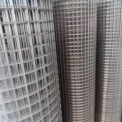 China 3/4 Inch 1.0 Mm Stainless Steel Welded Mesh 304 Roll For Garden Fence for sale
