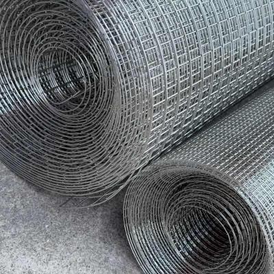 China Heavy Duty Garden Fencing Welded Wire Roll 1/2 Inch 16 Gauge for sale