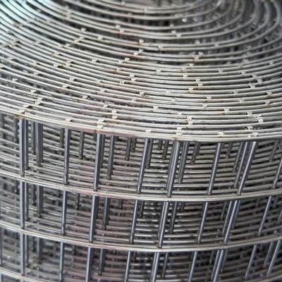 China 1/4 Inch 0.5 Mm Wire 304L Stainless Steel Welded Wire Mesh Rolls For Window Security Screens for sale