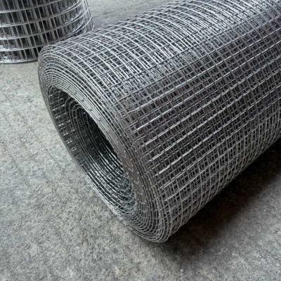 China T-304 Stainless Steel Heavy Duty Welded Wire Mesh Roll 1/2 Inch 16 Gauge For Garden Fencing for sale