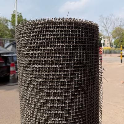 China High Tensile Stainless Steel Pre Crimped Wire Mesh Long Lifespan Screening Mesh for sale