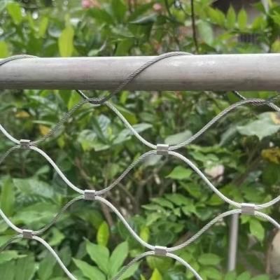 China High Strength Flexible 7x19 Stainless Steel Rope Netting 150×150mm For Green Walls And Plant Climbing for sale