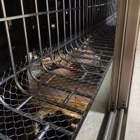 China Weatherproof Wire Rope Mesh With UV Stable Long Life Ss Rope Mesh for sale